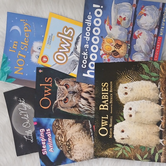 Scholastic | Other | Scholastic Owl Themed Childrens Book Set | Poshmark